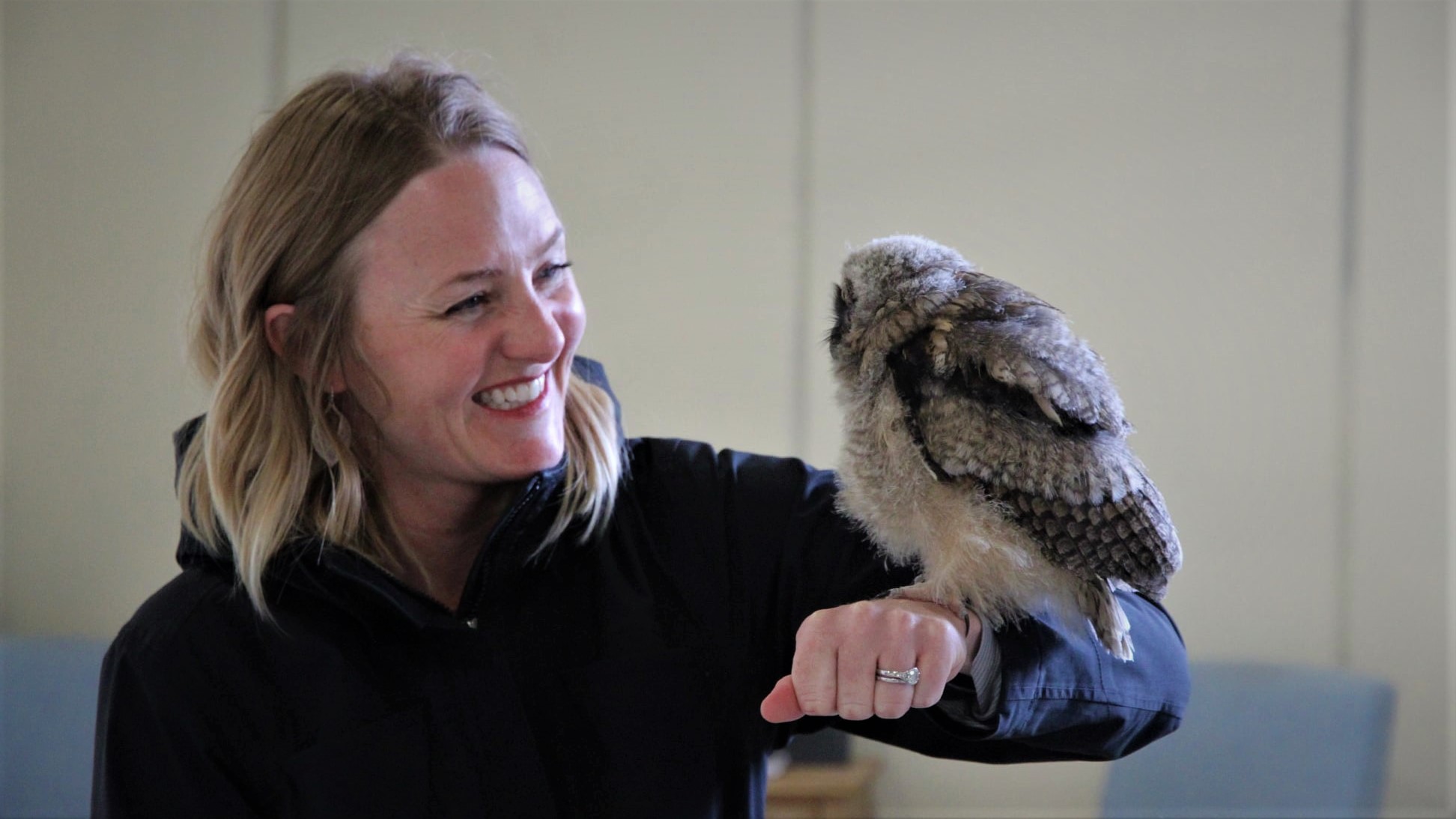 About us - The Bird of Prey Project