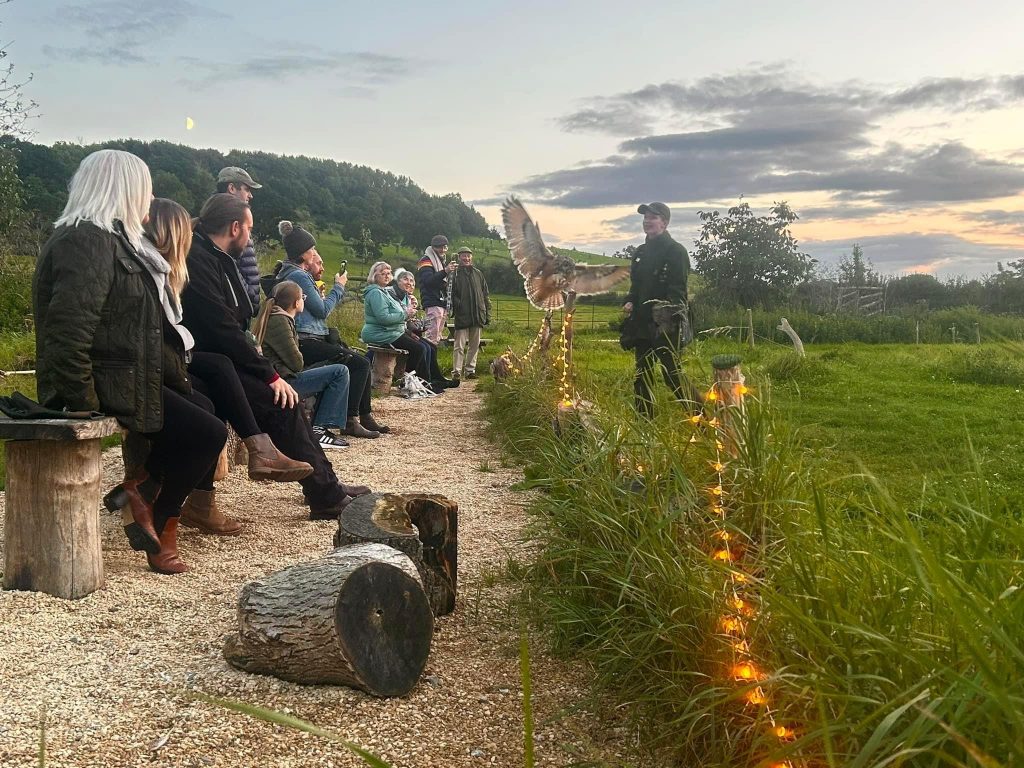 About us - The Bird of Prey Project