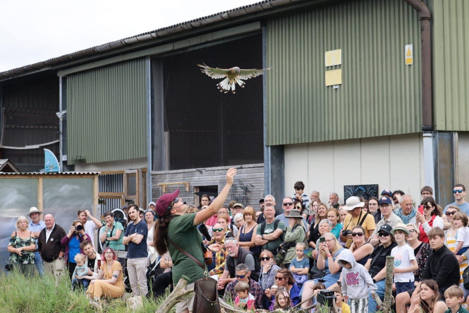 About us - The Bird of Prey Project