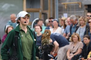 About us - The Bird of Prey Project