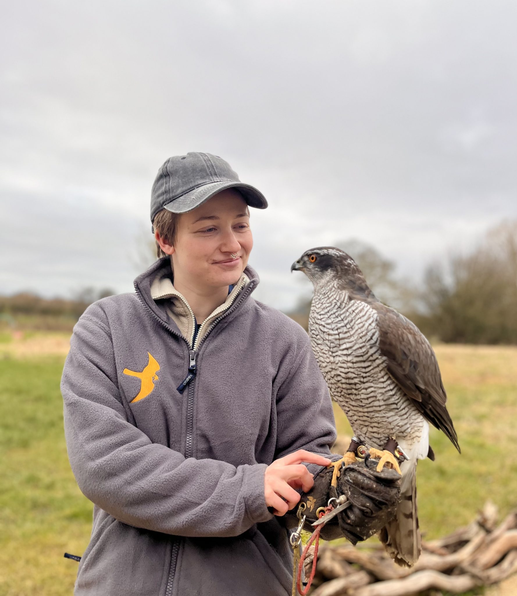 About us - The Bird of Prey Project