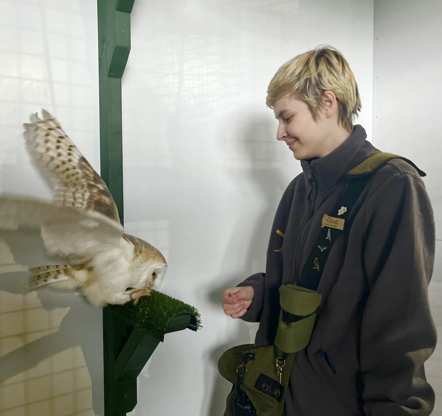 About us - The Bird of Prey Project