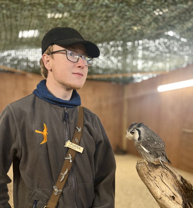 About us - The Bird of Prey Project