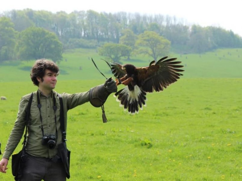 The Bird of Prey Project - A not-for-profit company limited by ...
