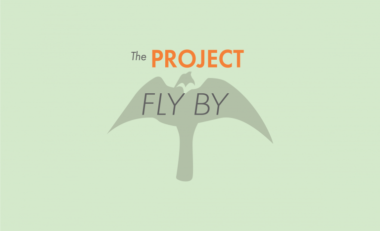 Newsletter - The Bird of Prey Project